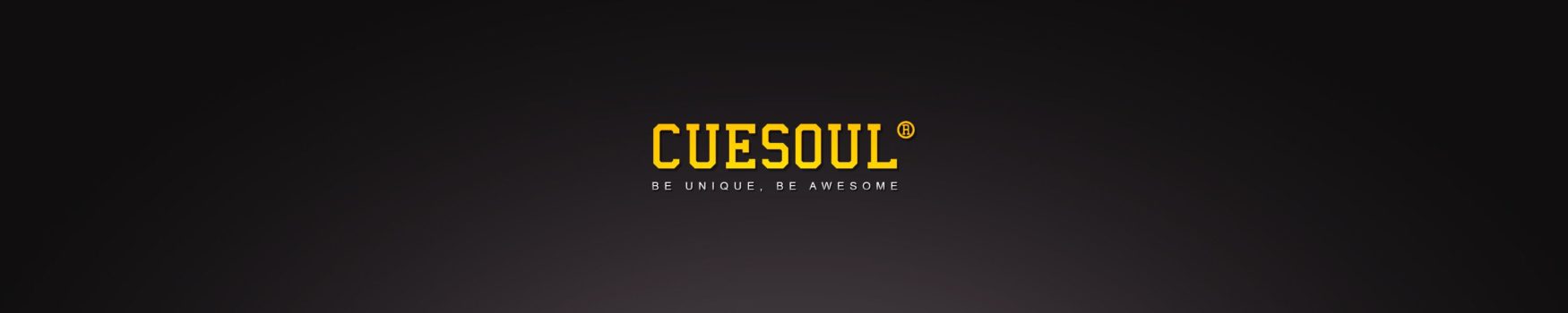 5 Best CUESOUL Pool Cues - Billiards Republic