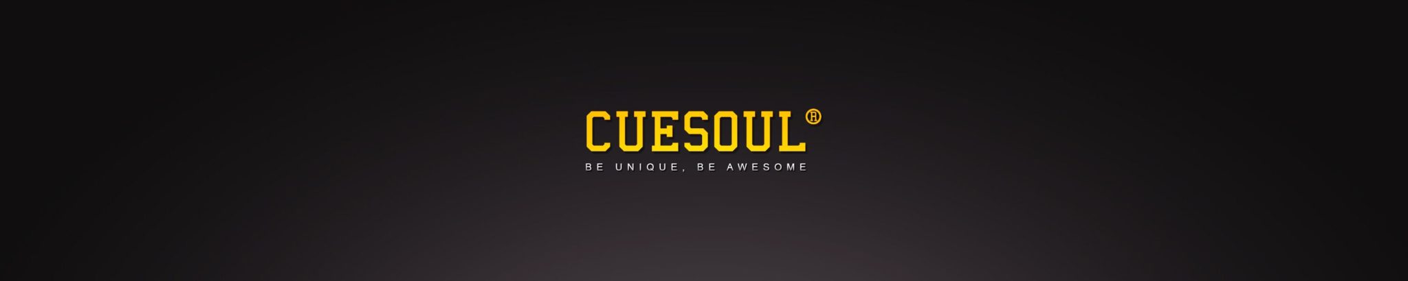 5 Best CUESOUL Pool Cues - Billiards Republic