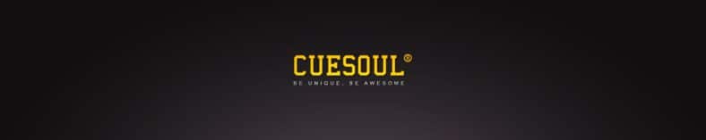 5 Best CUESOUL Pool Cues - Billiards Republic